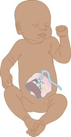 Dr Ricky Dippenaar | Neonatologist South Africa